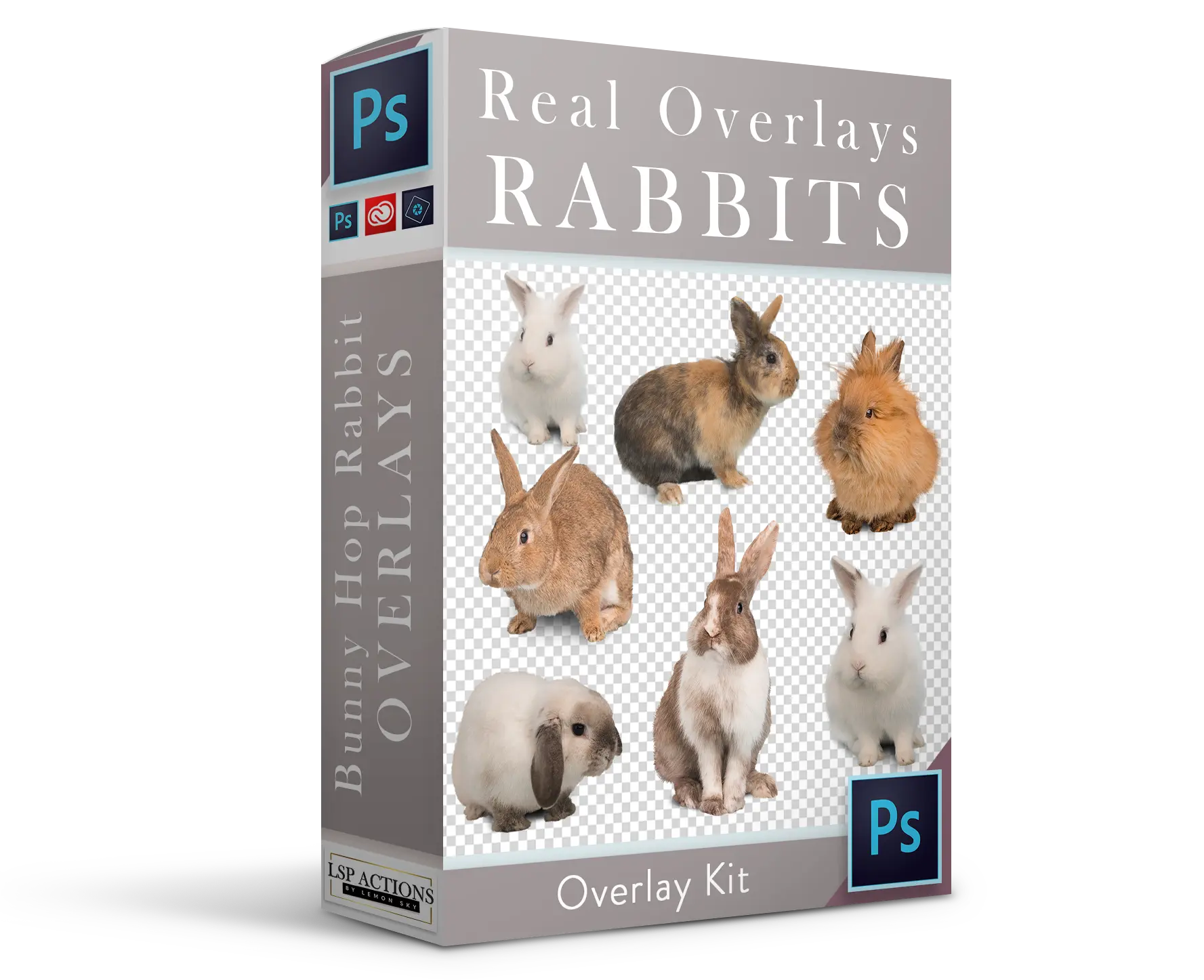 Rabbit Overlay Video Tutorials – LSP Actions by Lemon Sky